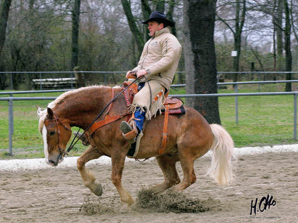 Westernreiten in Altdorf - Ettenheim - Badische Zeitung