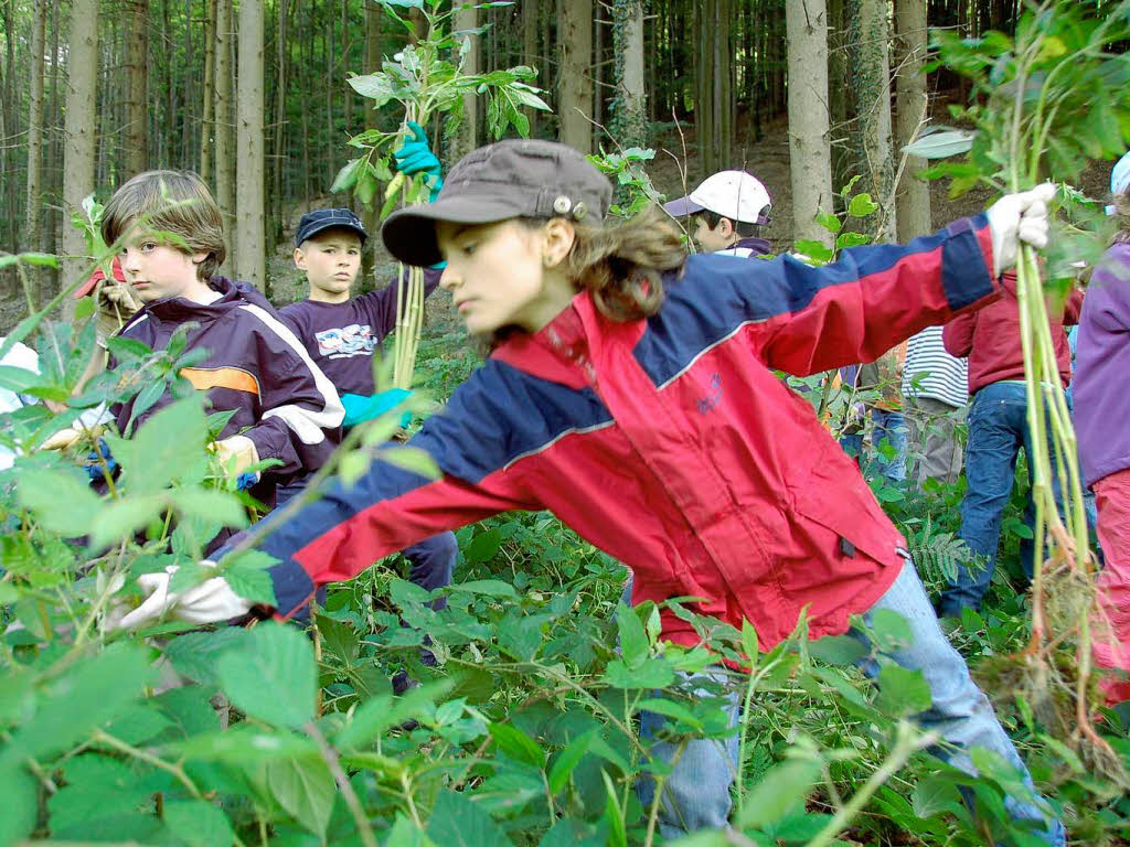 Rupfen was das Zeug hält - Schopfheim - Badische Zeitung