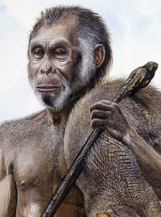 Sind die Flores-Hobbits eine neue Art? - Panorama - Badische Zeitung