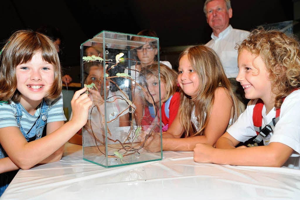 Mit der Luftkanone auf Kerzen schießen - Ortenaukreis - Badische Zeitung