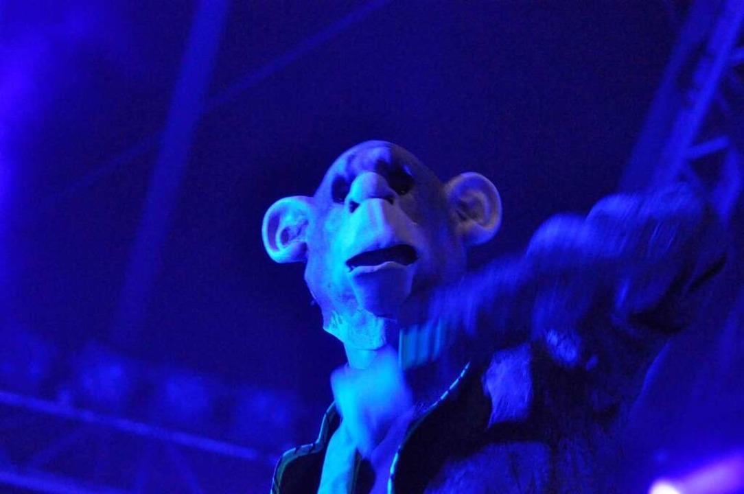 Festival-Analyse: Der Pop hat ZMF und Stimmen fest im Griff - Rock ...