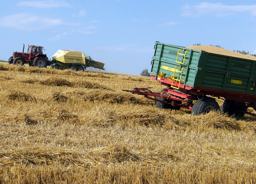 Gute Ernte, aber schlechte Preise - Bonndorf - Badische Zeitung