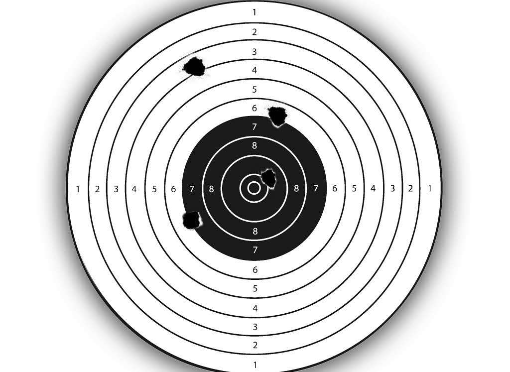Ziel, Schuss, Treffer - Weil am Rhein - Badische Zeitung