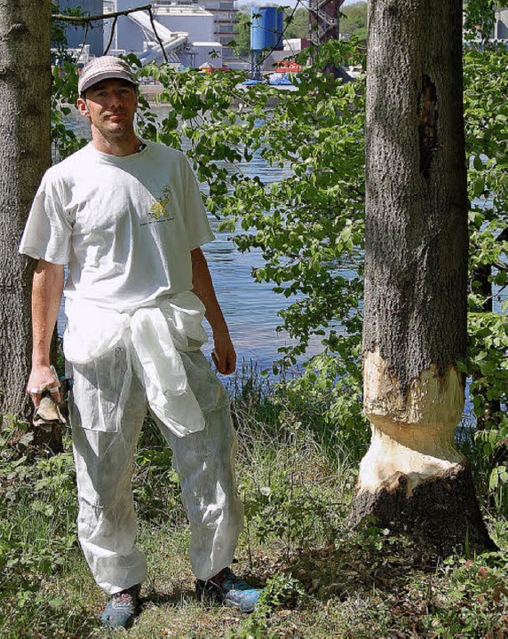 SCHARFE ZÄHNE - Grenzach-Wyhlen - Badische Zeitung