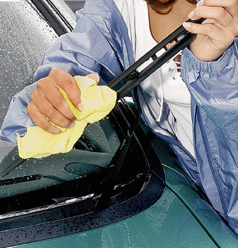 Die Wischer stets im Blick - Auto & Mobilität - Badische Zeitung