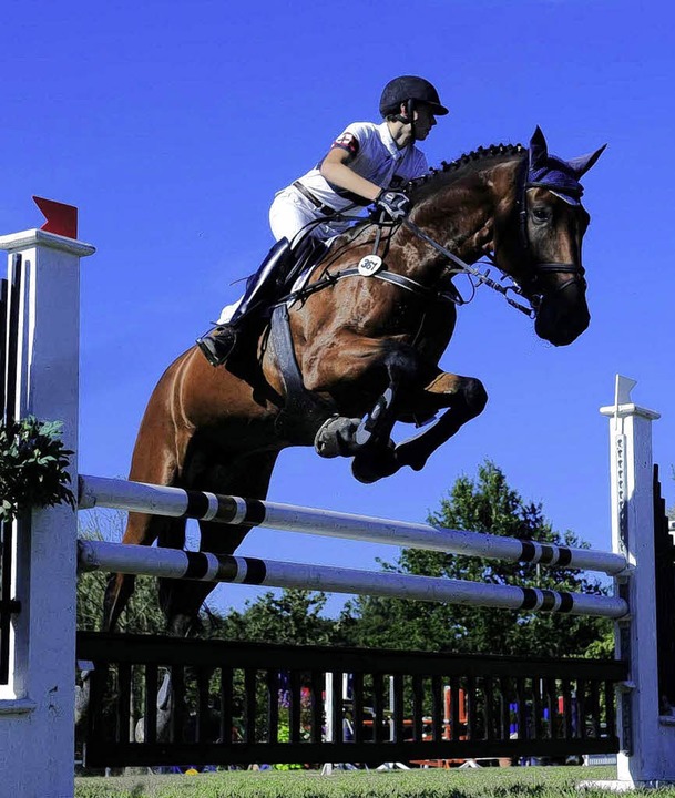 Erst kommt das Pony, dann das Springpferd - Reitsport - Badische Zeitung