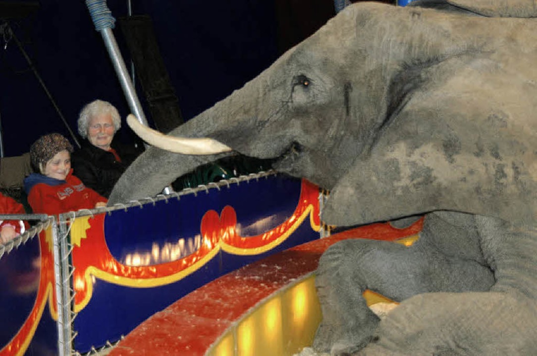Elefant Benjamin ist der "Größte" - Schopfheim - Badische Zeitung