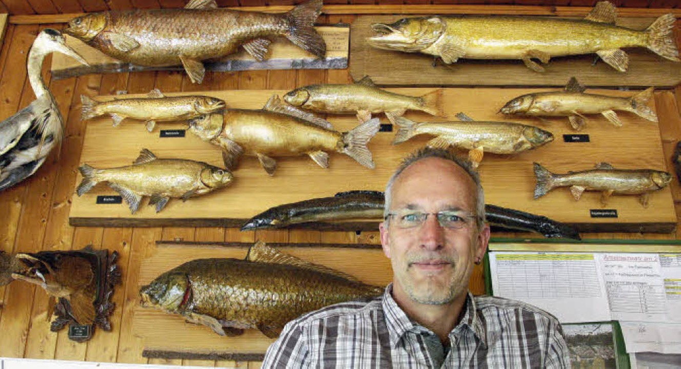 Für Rheinfische ist einiges im Fluss - Rheinfelden - Badische Zeitung