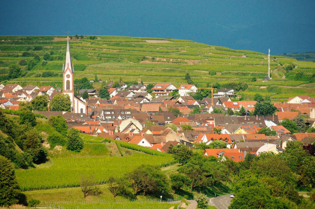 Ortsbausatzung kommt auf den Prüfstand - Ihringen - Badische Zeitung