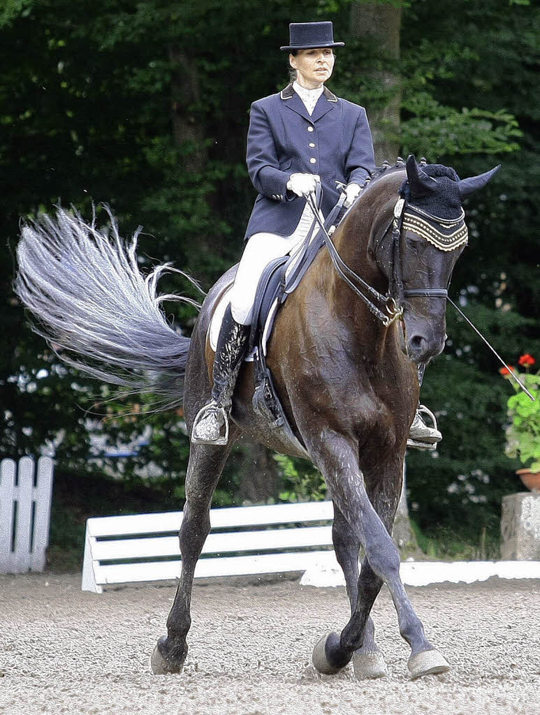 Andreas Krieg holt Großen Preis - Reitsport - Badische Zeitung
