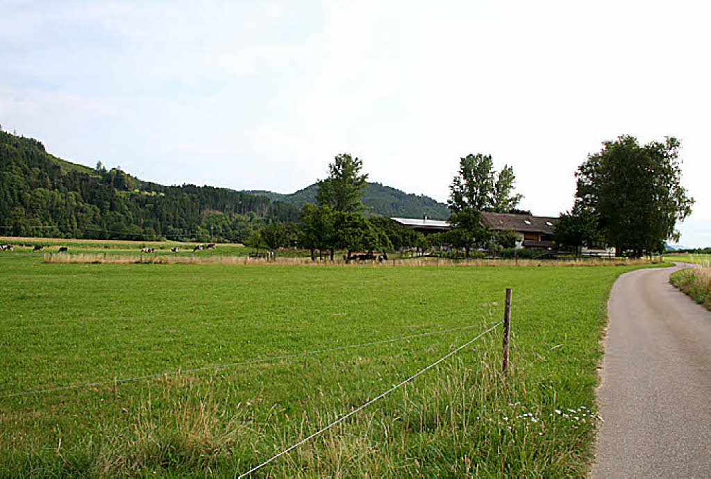 Aussiedlerhof bei Bleibach beantragt eigenes Windrad - Gutach im ...