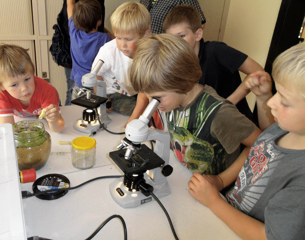 Was alles im Schulbiotop kreucht und fleucht - Buchenbach - Badische Zeitung