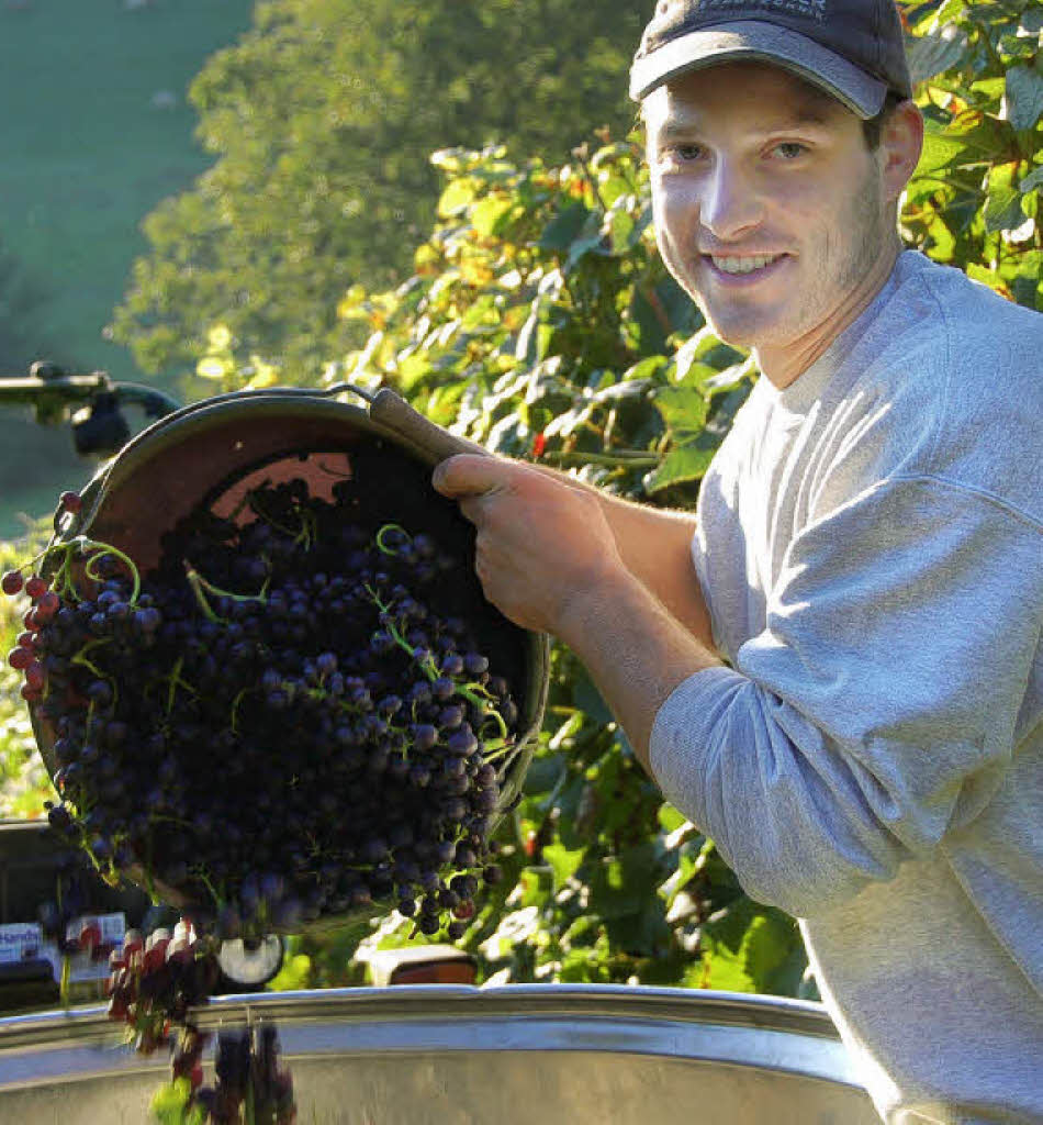 Von der Traube zum Wein - Gundelfingen - Badische Zeitung