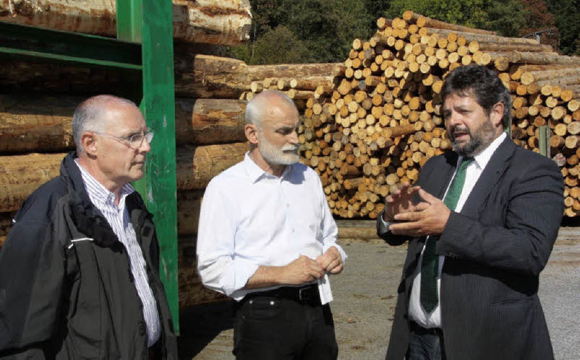 Fichte als "Brotbaum" im Zwielicht - Buchenbach - Badische Zeitung