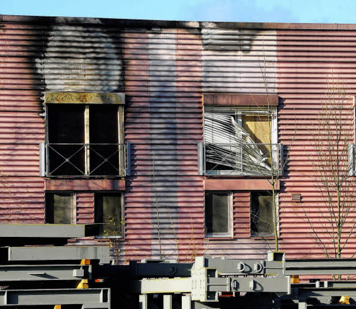 Das Durcheinander und der Schmutz sind ihr Metier - Freiburg - Badische ...