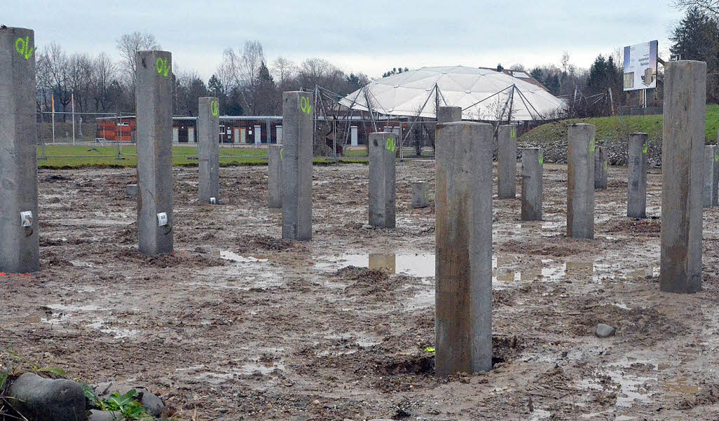 53 Pfähle für die Sicherheit - Rheinfelden - Badische Zeitung