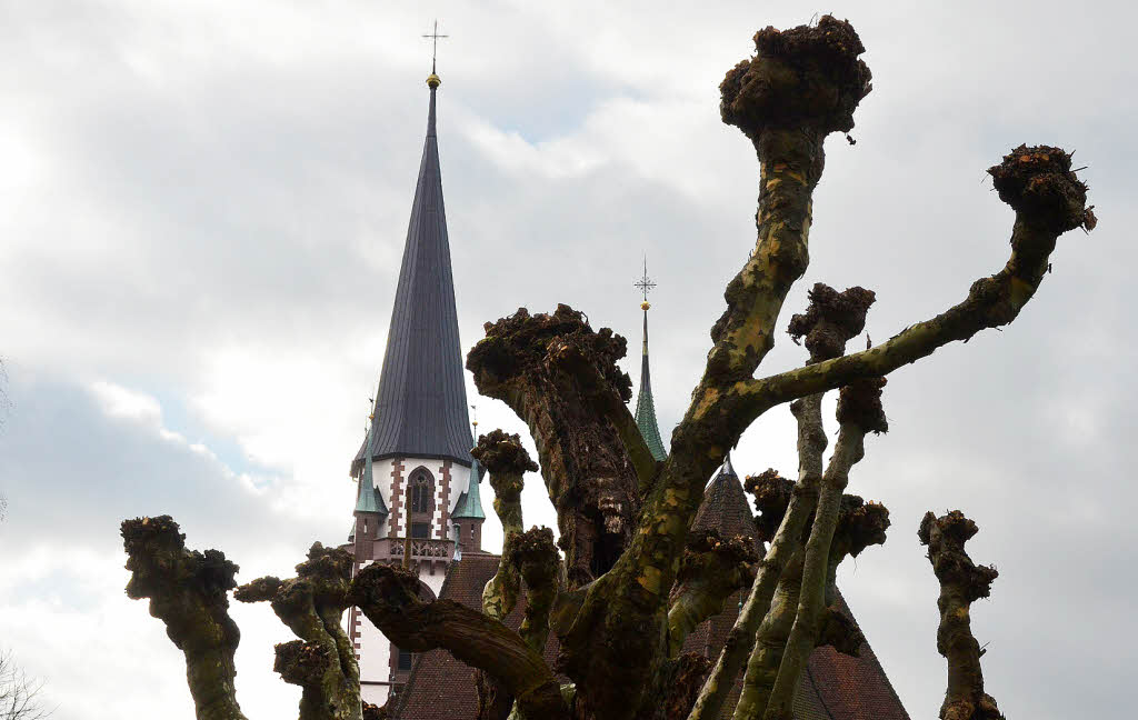 WIE GREISE - Emmendingen - Badische Zeitung