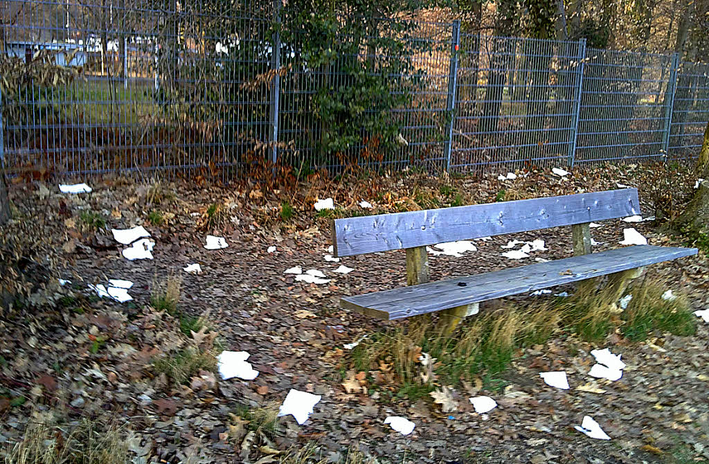 Der Dreck kommt weg - Bad Säckingen - Badische Zeitung