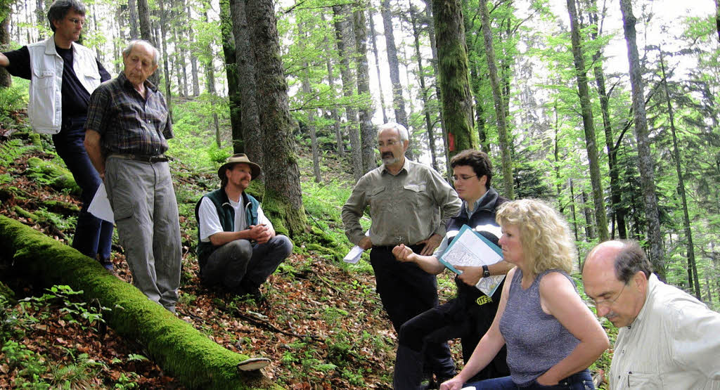 Gute Noten für den Wald - Herrischried - Badische Zeitung