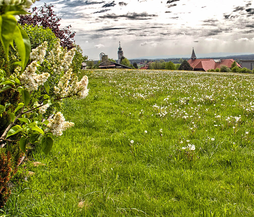 Neues attraktives Baugebiet in Grafenhausen - Grafenhausen - Badische ...