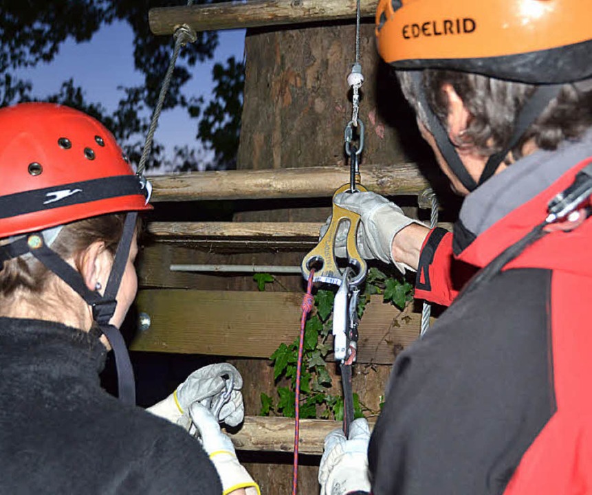 Nachts in den Bäumen - Lörrach - Badische Zeitung