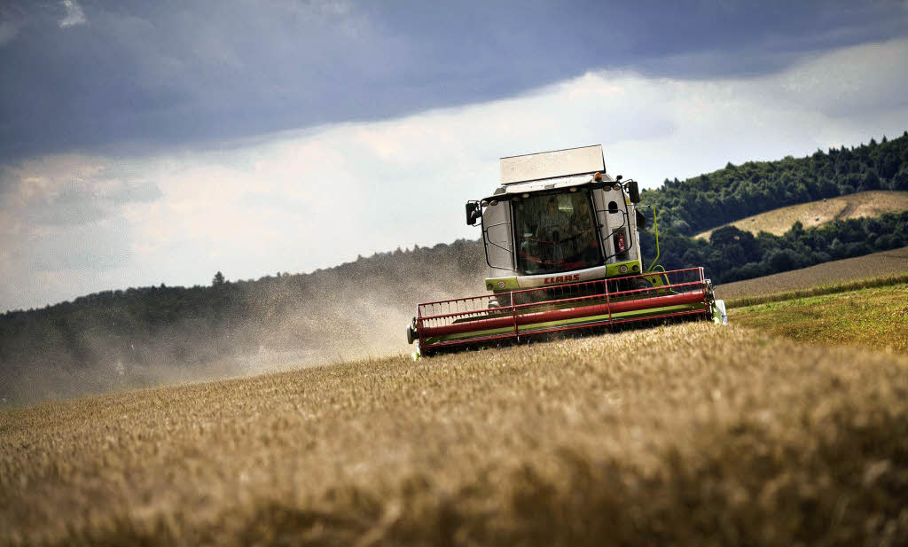 Bauern erwarten eine gute Ernte - Kreis Waldshut - Badische Zeitung