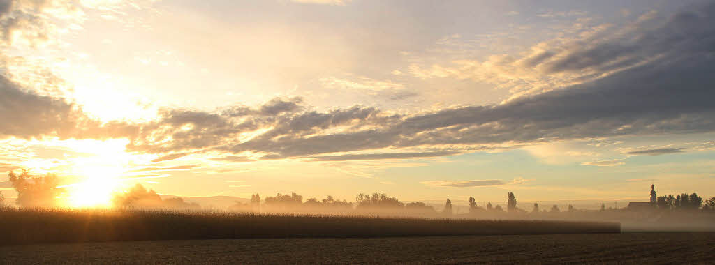 Die Nebel - Meißenheim - Badische Zeitung