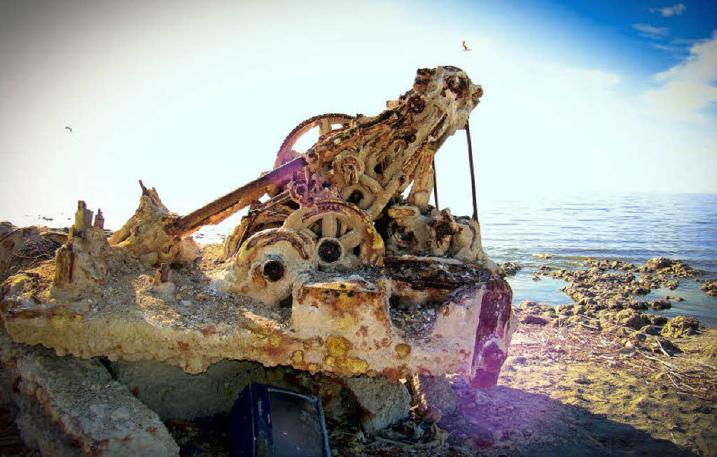 Traumziel Apokalypse - Panorama - Badische Zeitung