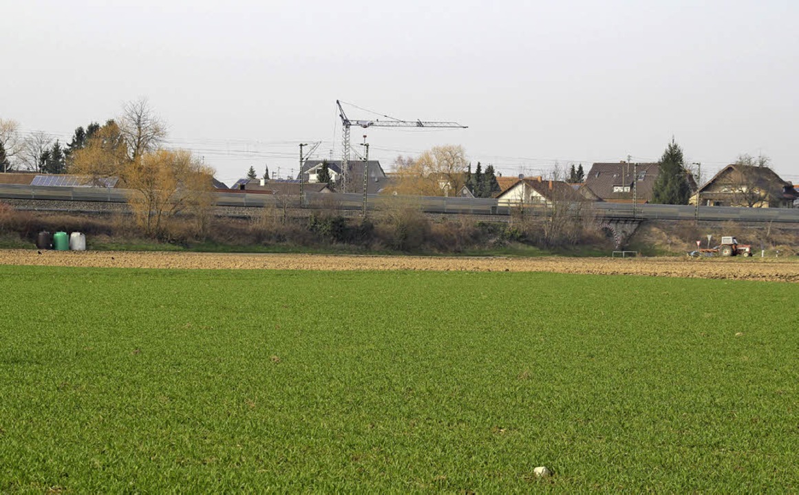 Tunsel hat große Pläne - Bad Krozingen - Badische Zeitung