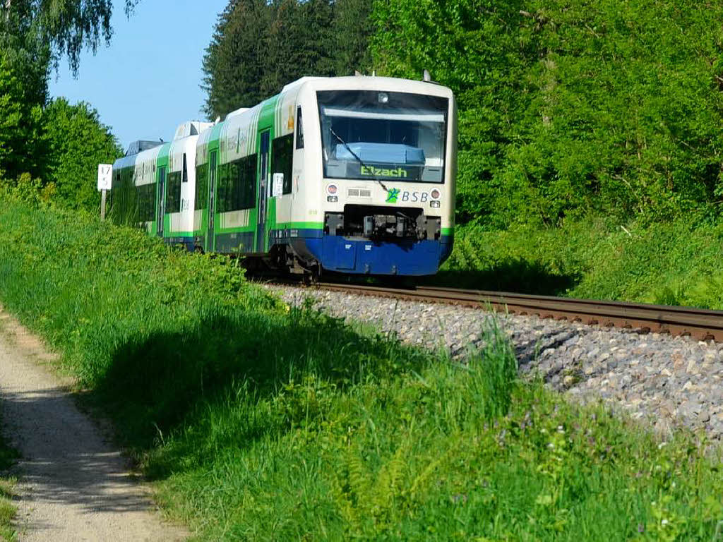 Eine Demo für die Elztalbahn - Elzach - Badische Zeitung