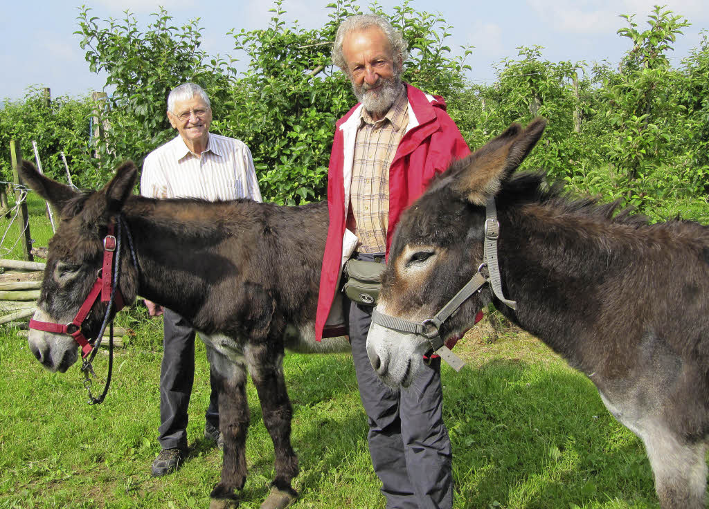 Mit zwei Eseln zu Fuß über die Alpen - Endingen - Badische Zeitung