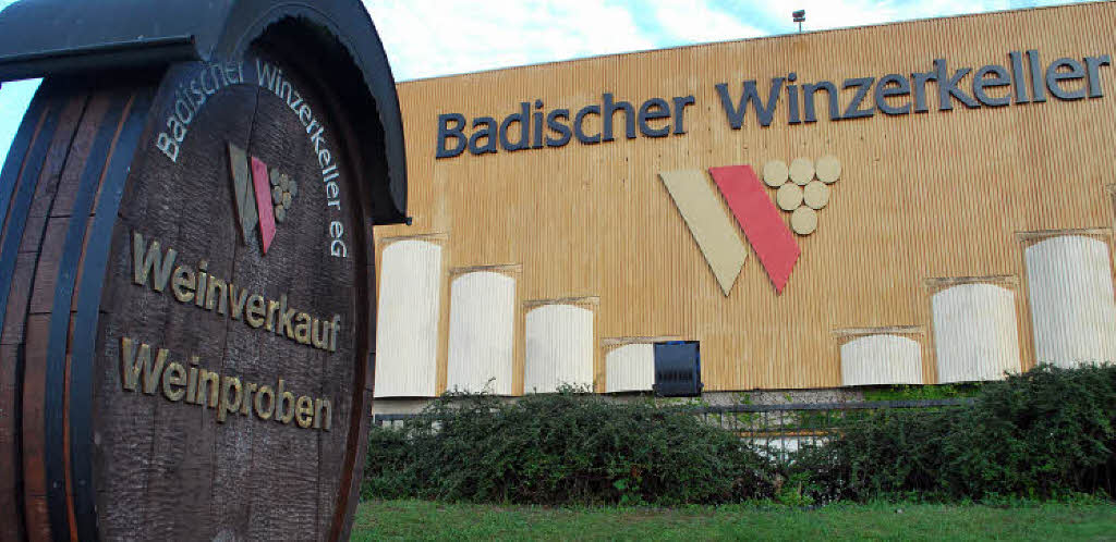 Der Badische Winzerkeller erhöht Traubengeld - Breisach - Badische Zeitung