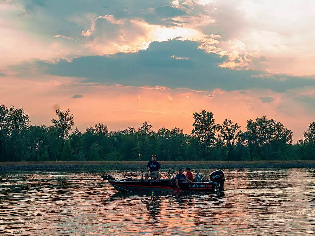 Beiß endlich - wie Angler den großen Wels im Rhein jagen - Südwest ...