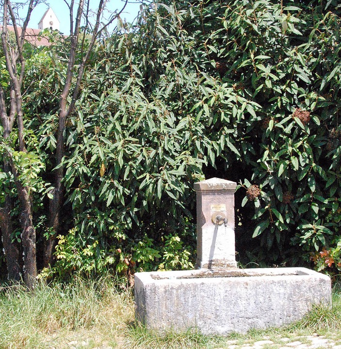 DER DAUR-BRUNNEN - Weil am Rhein - Badische Zeitung