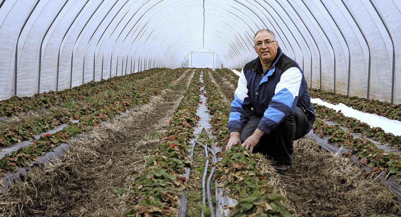 Die Arbeit geht einem Bauern nie aus - Waldkirch - Badische Zeitung