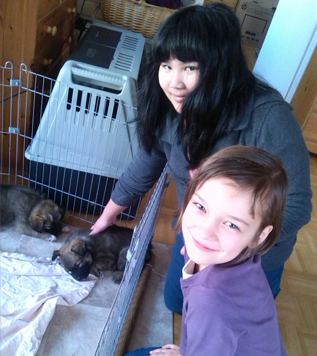 "Pferde helfen den Menschen" - Zisch-Texte - Badische Zeitung