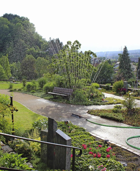 Friedhof Friedhof