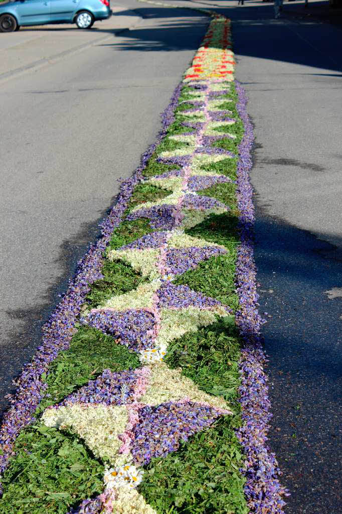 Fotos: 800 Meter langer Blumenteppich in Unadingen - Löffingen ...