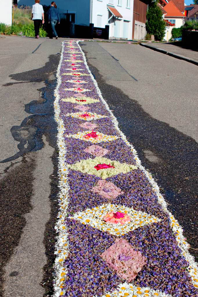 Fotos: 800 Meter langer Blumenteppich in Unadingen - Löffingen ...