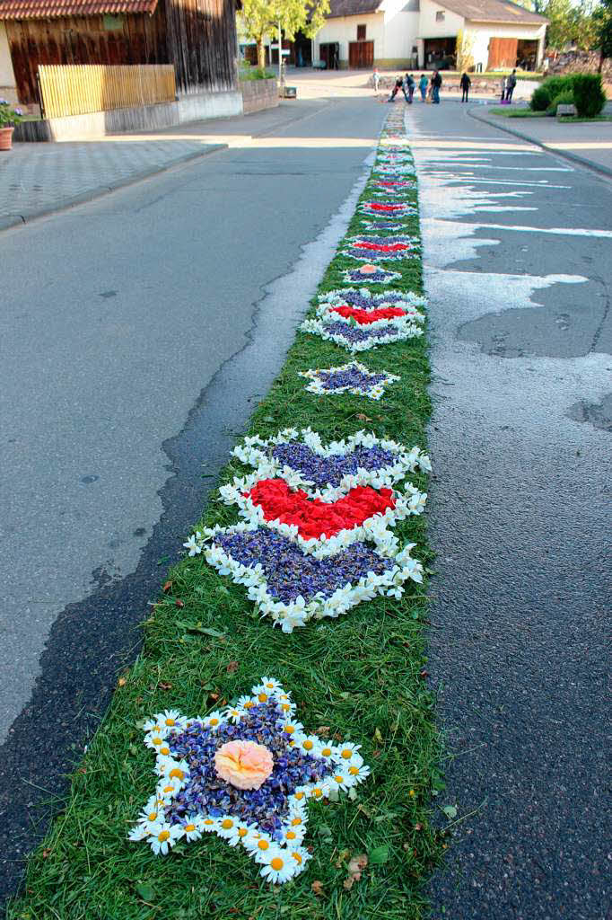 Fotos: 800 Meter langer Blumenteppich in Unadingen - Löffingen ...