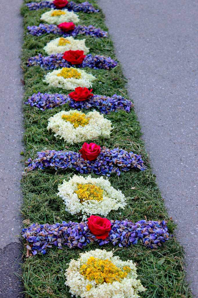 Fotos: 800 Meter langer Blumenteppich in Unadingen - Löffingen ...
