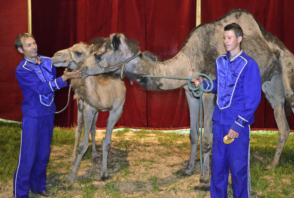 CIRCUS KAISER - Elzach - Badische Zeitung