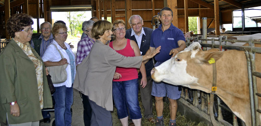 Bürokratie macht Landwirten zu schaffen - Schopfheim - Badische Zeitung