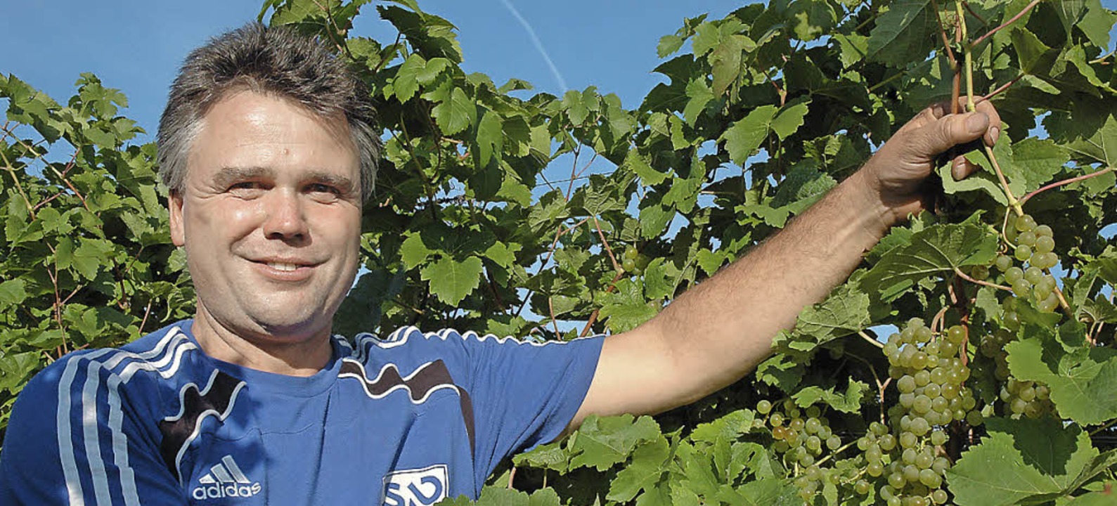 Minimalschnitt – weniger Arbeit, gesunde Beeren - Efringen-Kirchen ...