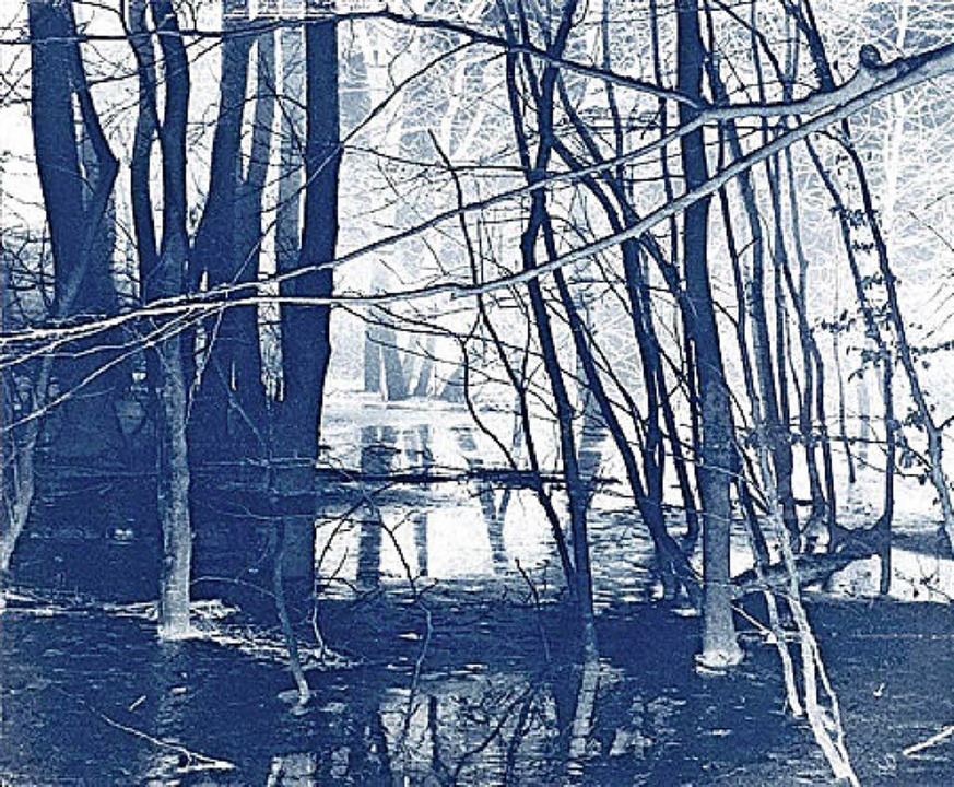 AUSBLICK - Ortenaukreis - Badische Zeitung