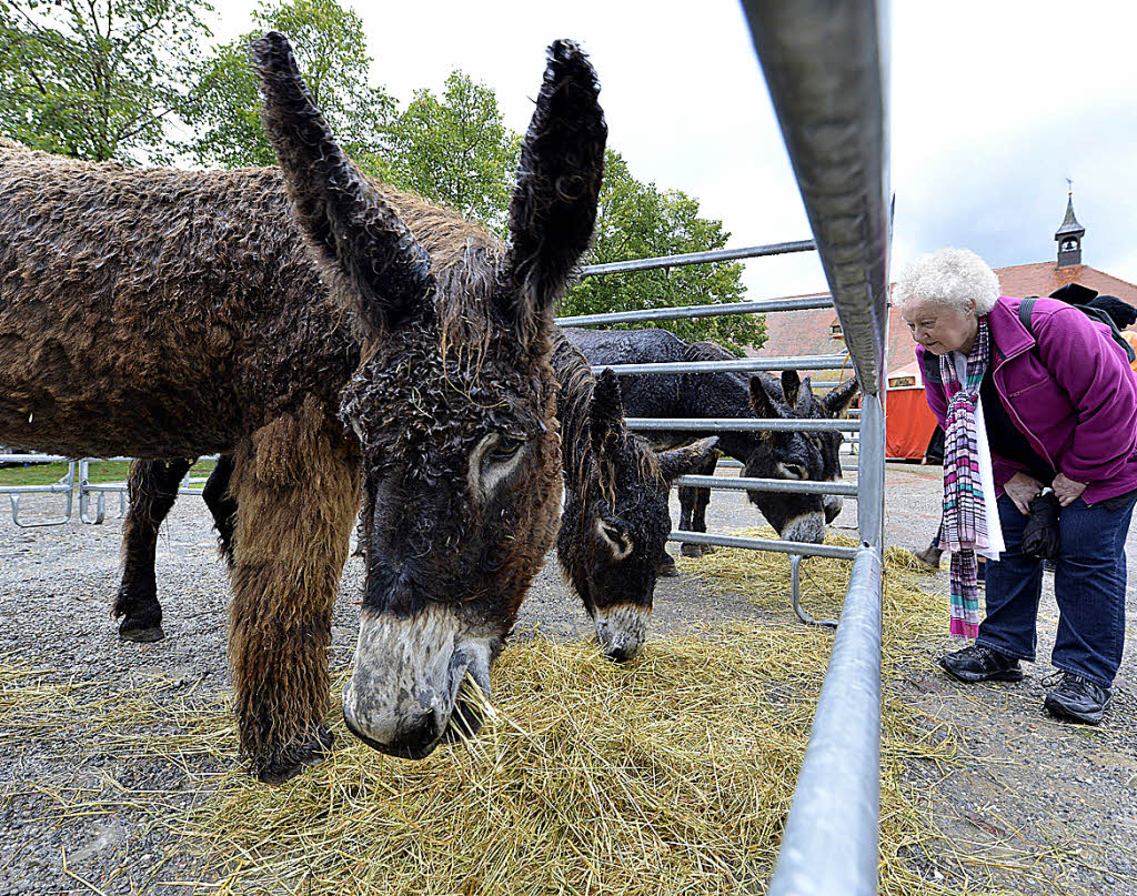 Der Freiburger Mundenhof ist für jeden ein Abenteuer - Freiburg ...