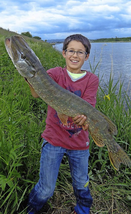 Ein wahrhaft toller Hecht - Zisch-Texte - Badische Zeitung