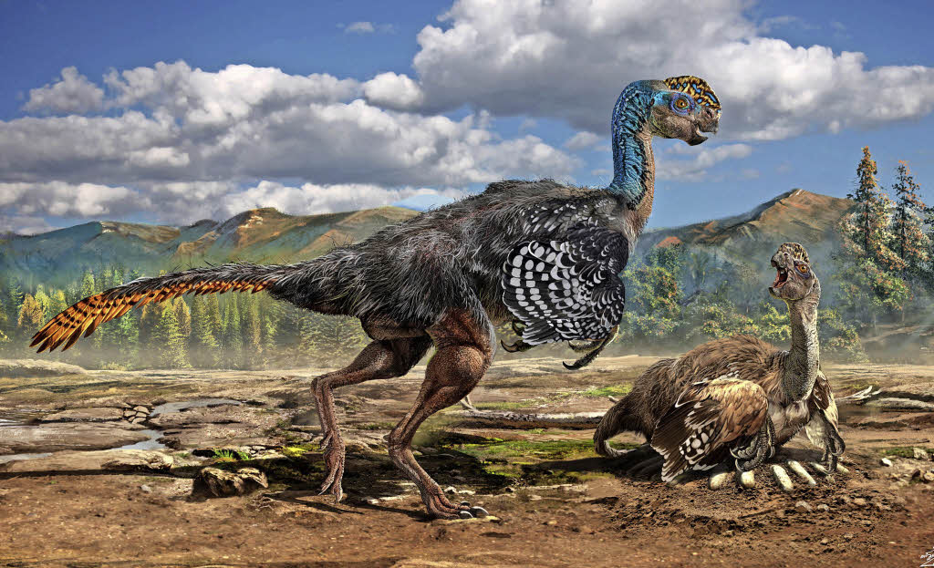 Saurier-Skelette lassen Forscher jubeln - Panorama - Badische Zeitung