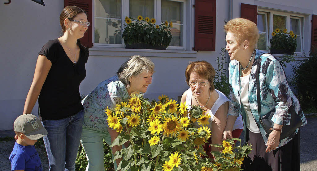 In Minseln geht die Sonne auf - Rheinfelden - Badische Zeitung