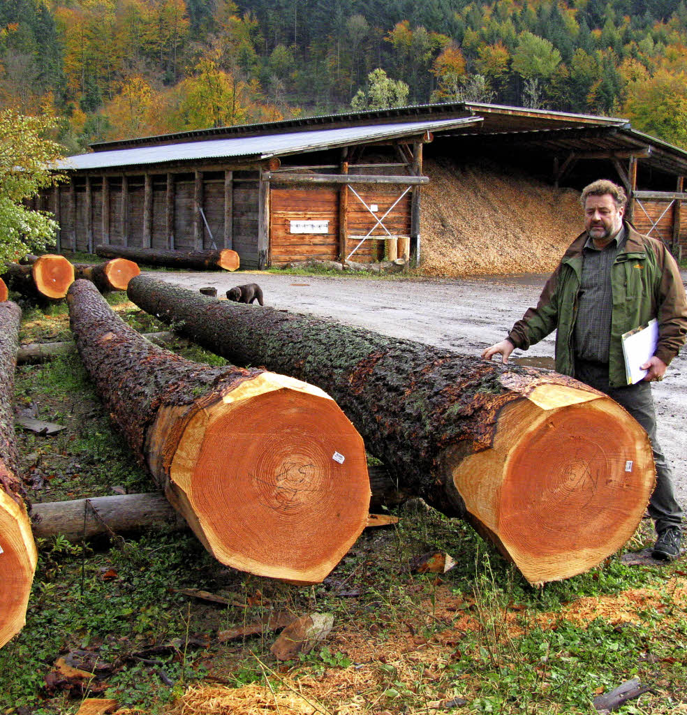 Der Wald – eine wertvolle Sparbüchse - Münstertal - Badische Zeitung